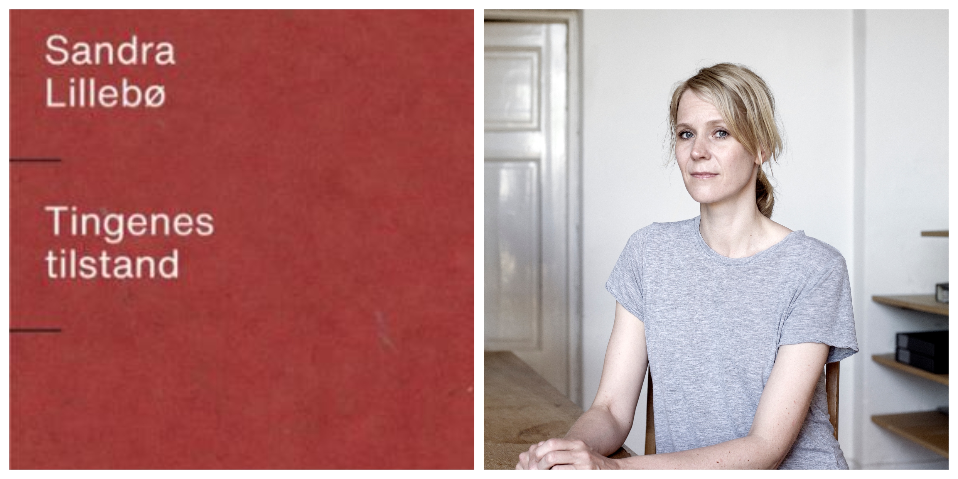 Tingenes tilstand av Sandra Lillebø – Beathes bibliotek