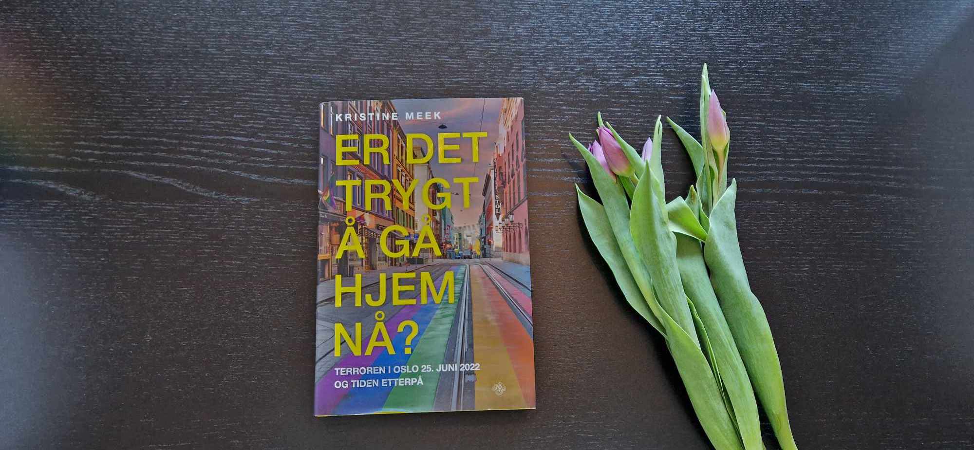 Er det trygt å gå hjem nå? av Kristine Meek – Beathes bibliotek